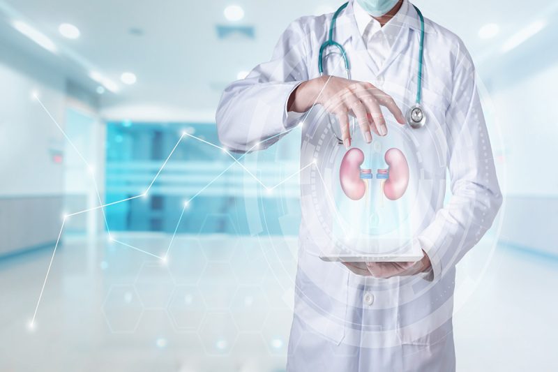 Kidney Disease Facts: What You Need to Know